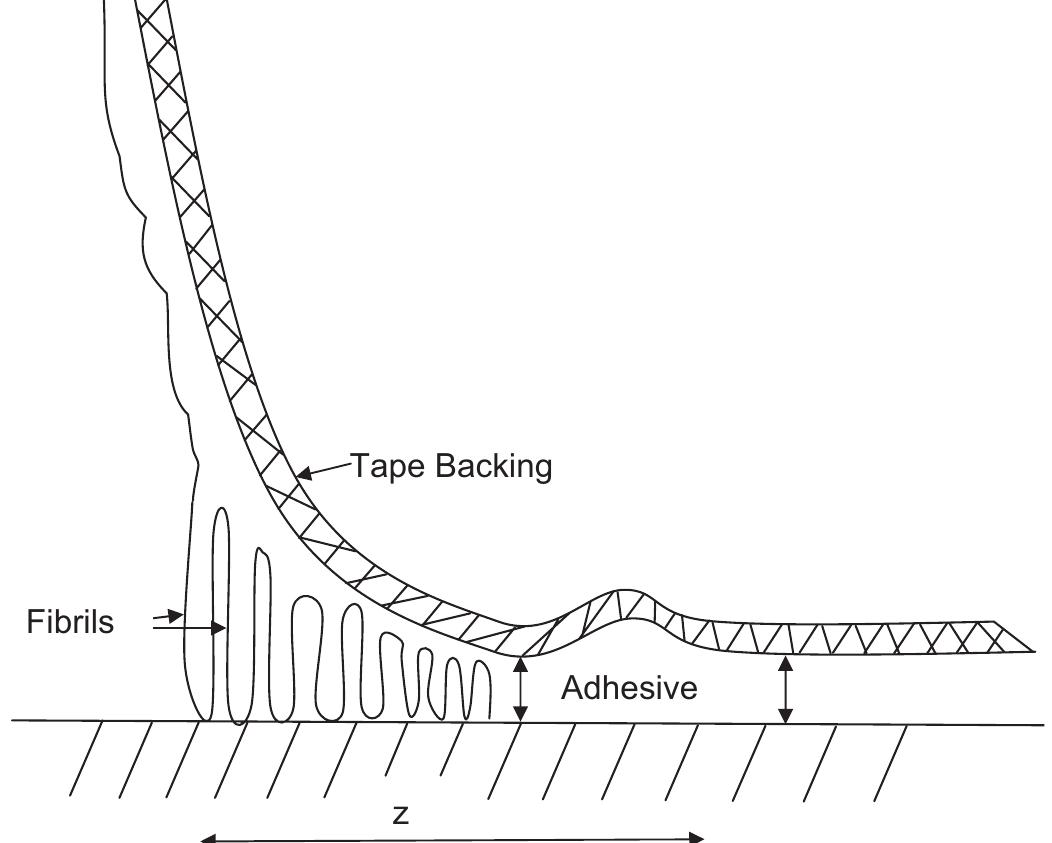 Figure 4 - from Peel of an adhesive tape from a