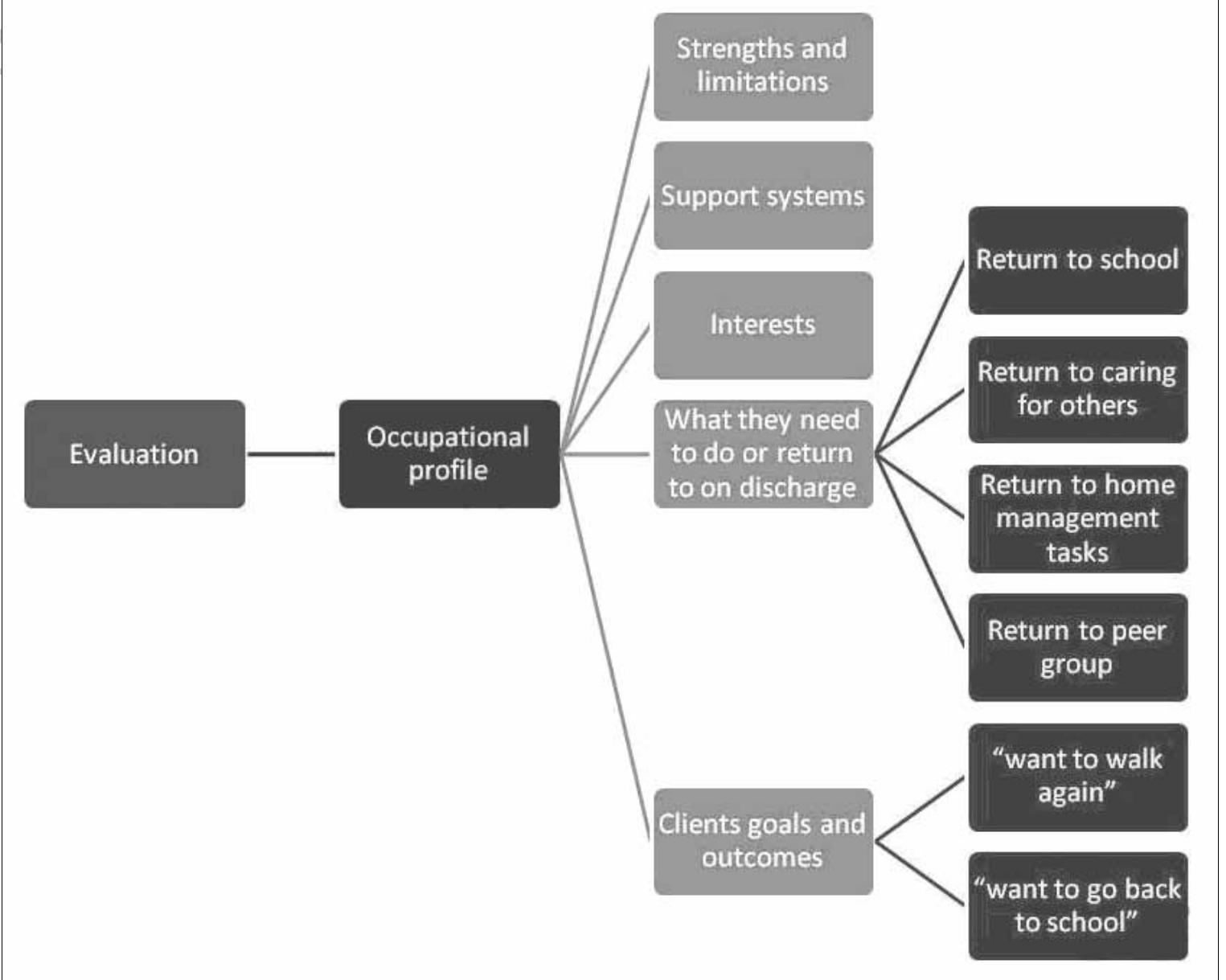 Figure 2 - Using the Occupational Therapy Practice