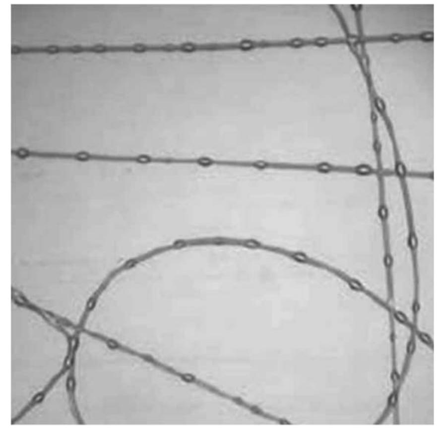Beaded structure of encapsulated liquid core nanofiber.’*