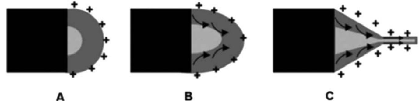 Schematic view of bicomponent taylor cone formation. (a)