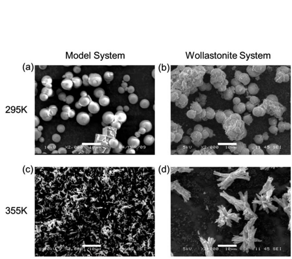 Sem images of caco3 synthesized using ca-rich solution