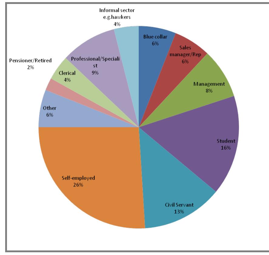 Figure 11 - Africa's first bus rapid transit scheme : the