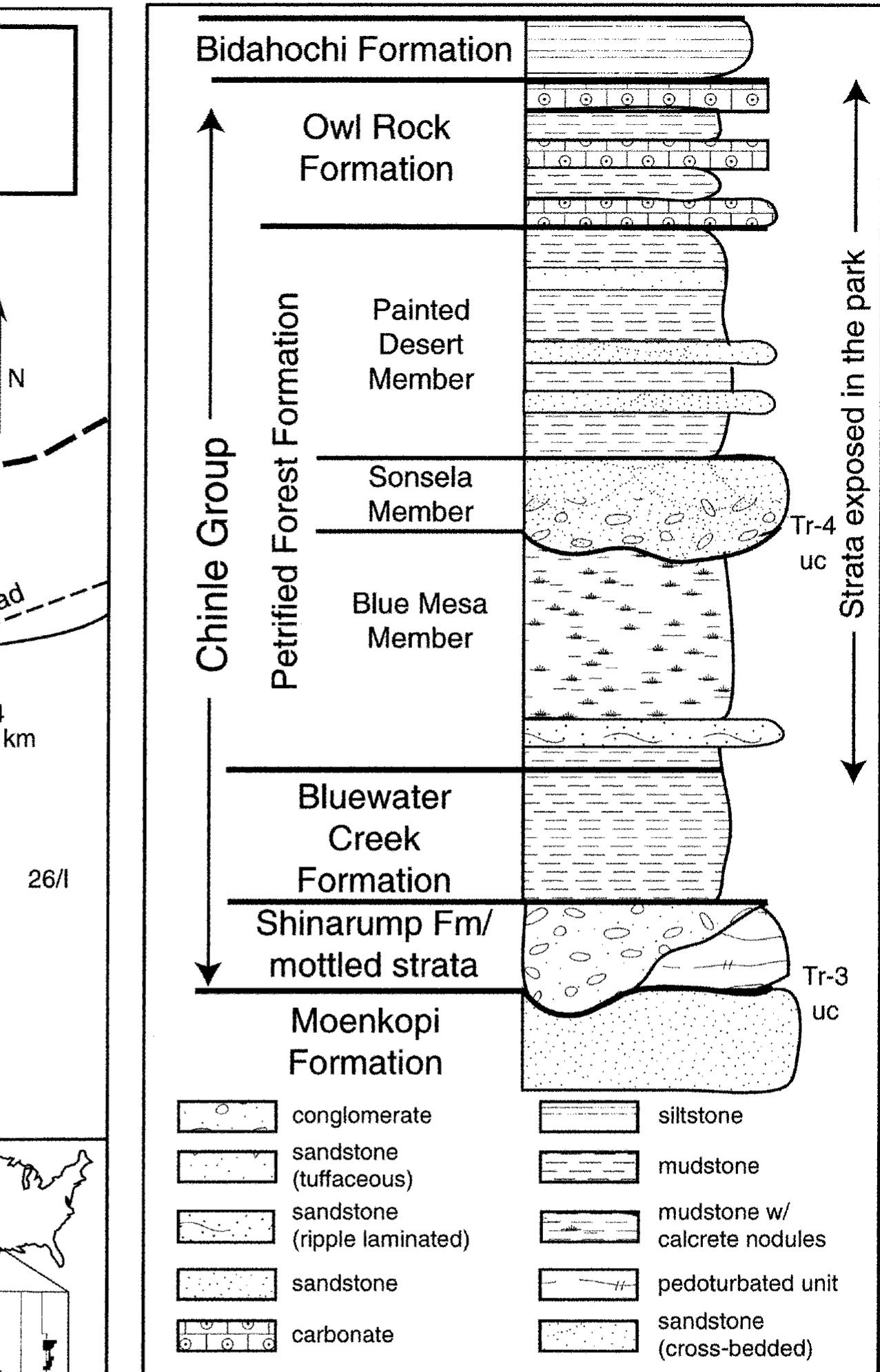 Generalized upper triassic stratigraphy of the petrified