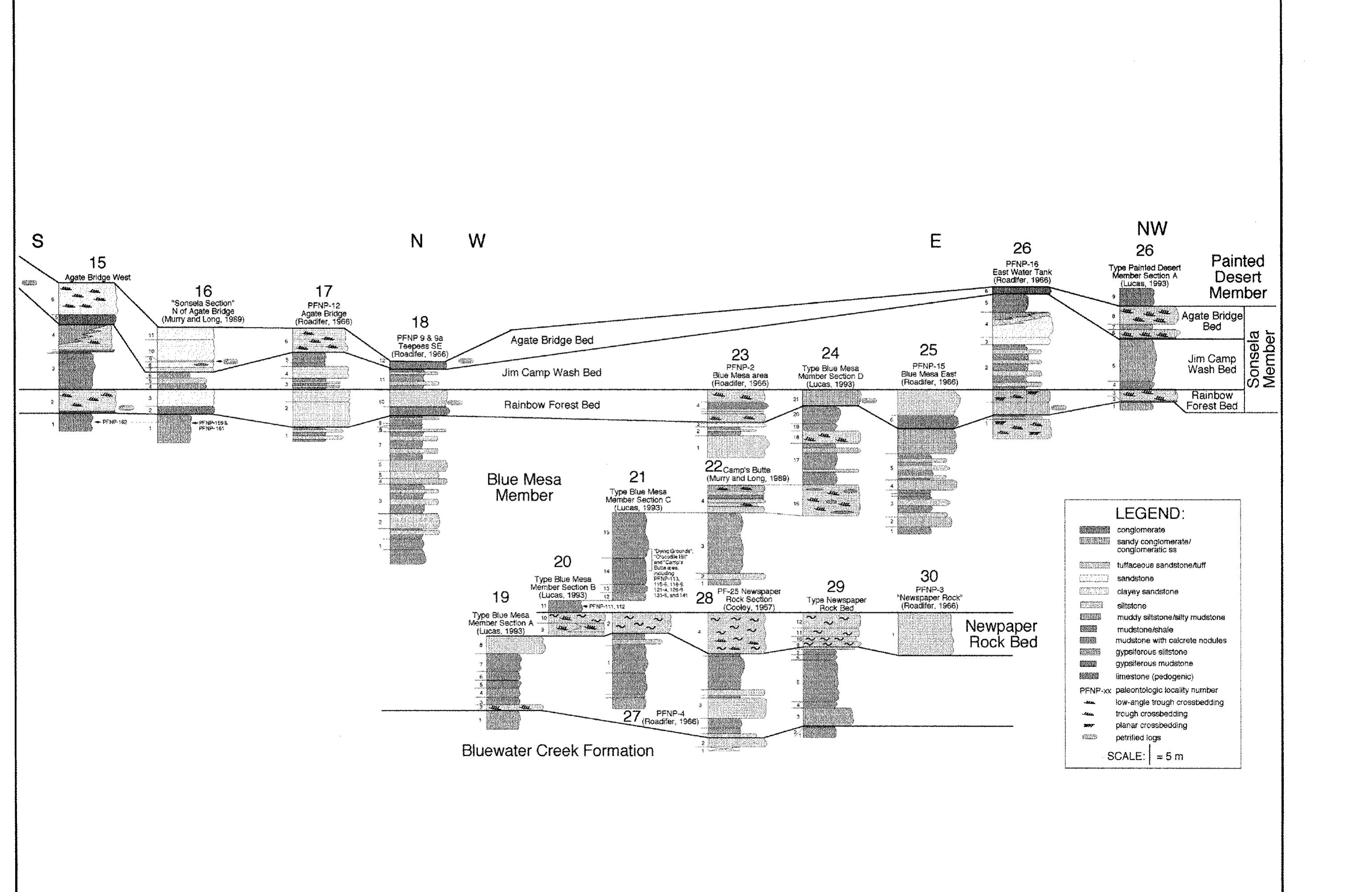 Figure 4 - Revised Upper Triassic stratigraphy of the