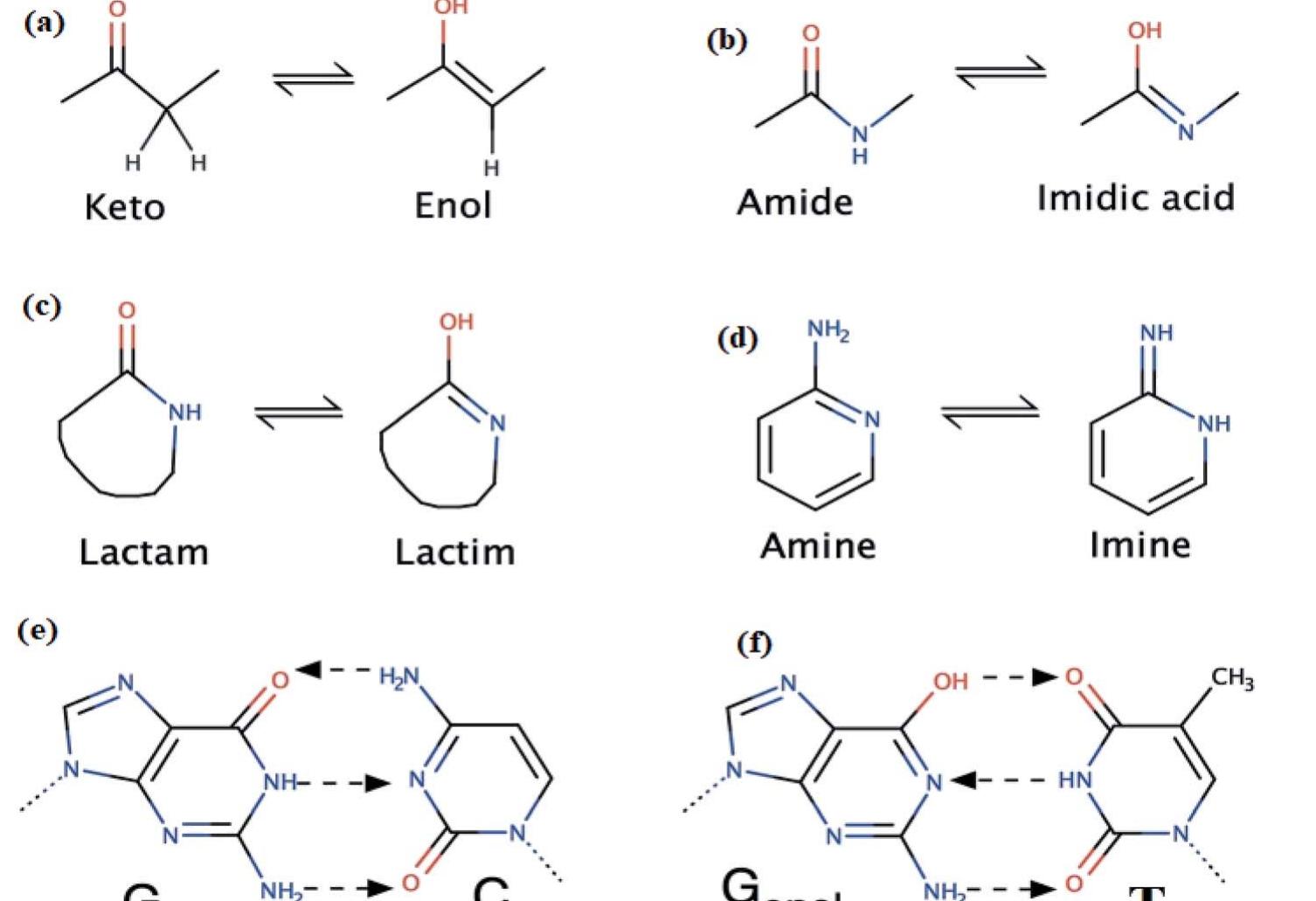 (a—d) prototropic tautomerization reactions and g-c and
