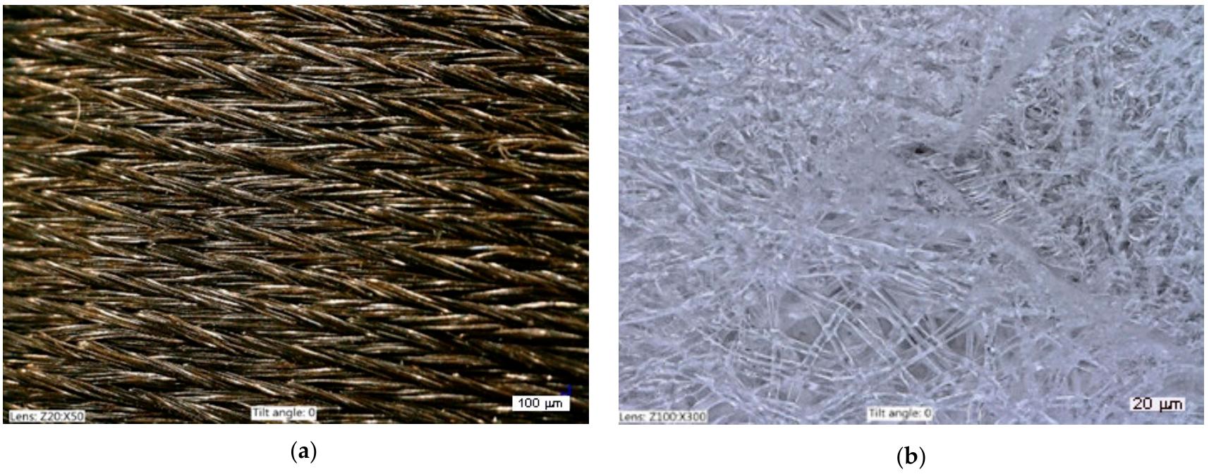 Microscopic images of textile electrodes (a) used in the