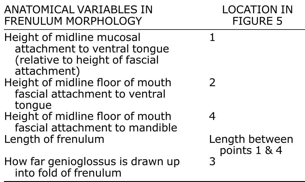Anatomical variables in frenulum morphology (as observed