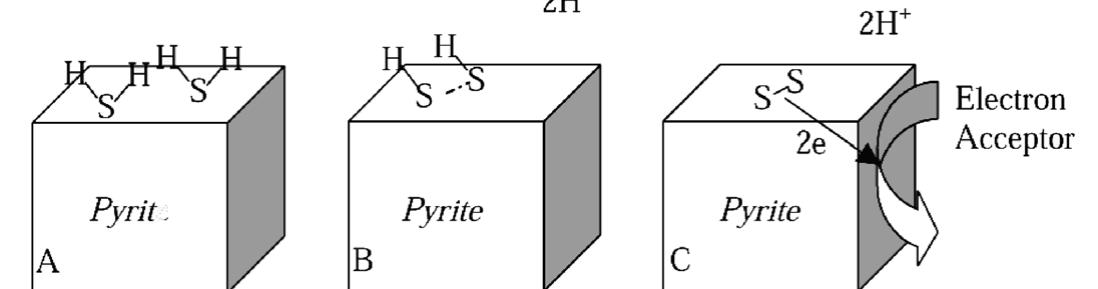 (PDF) Mechanisms of sedimentary pyrite formation