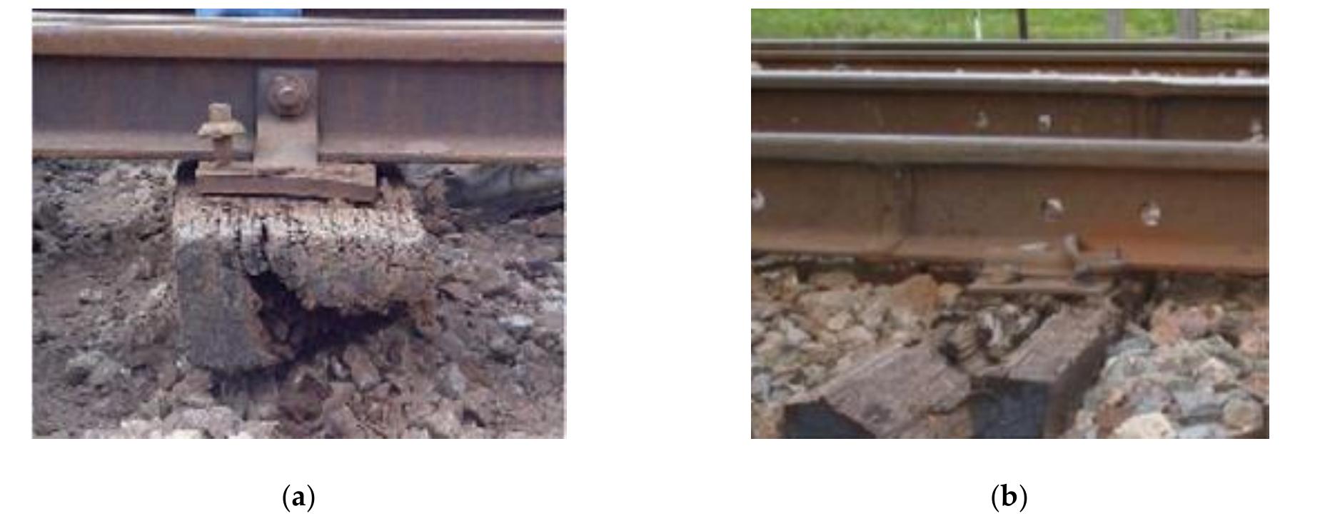 Types of timber sleeper failure. (a) fungal degradation, (b)