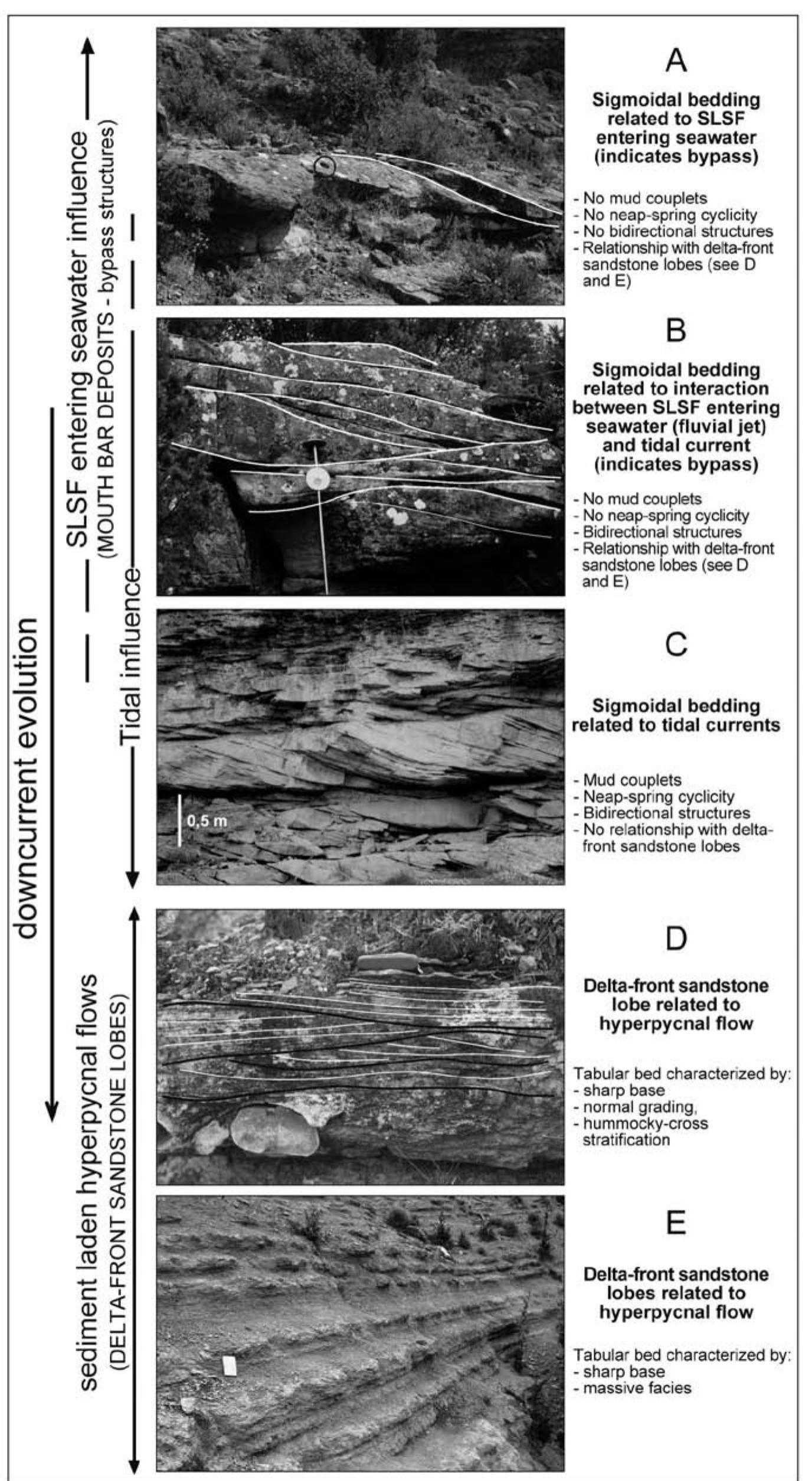 diagram showing the types of pals stratification that