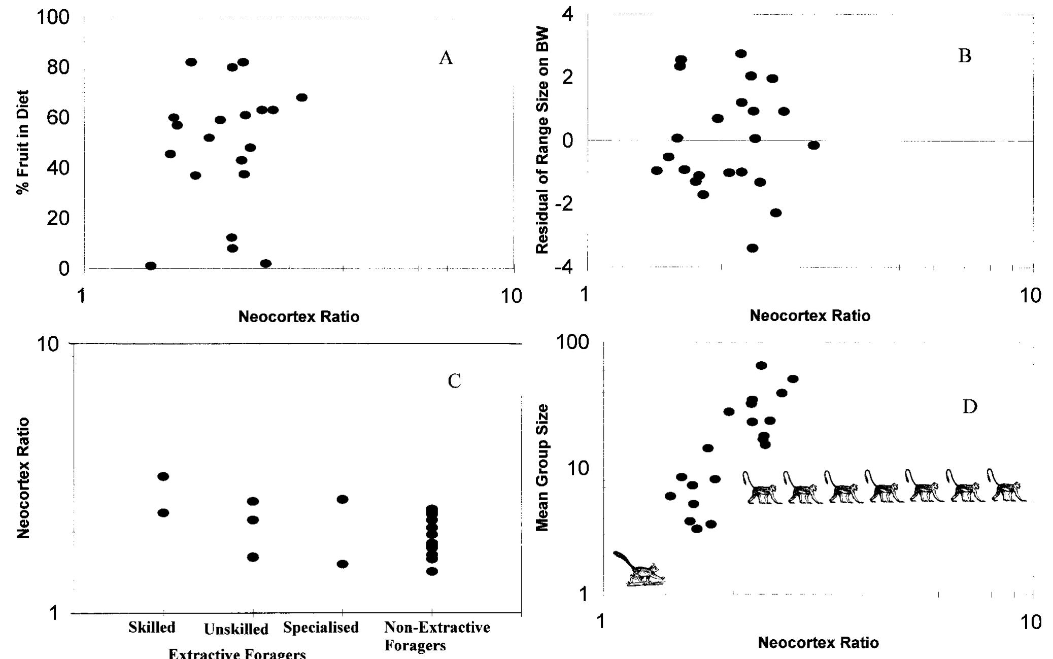 Relative neocortex size in anthropoid primates plotted