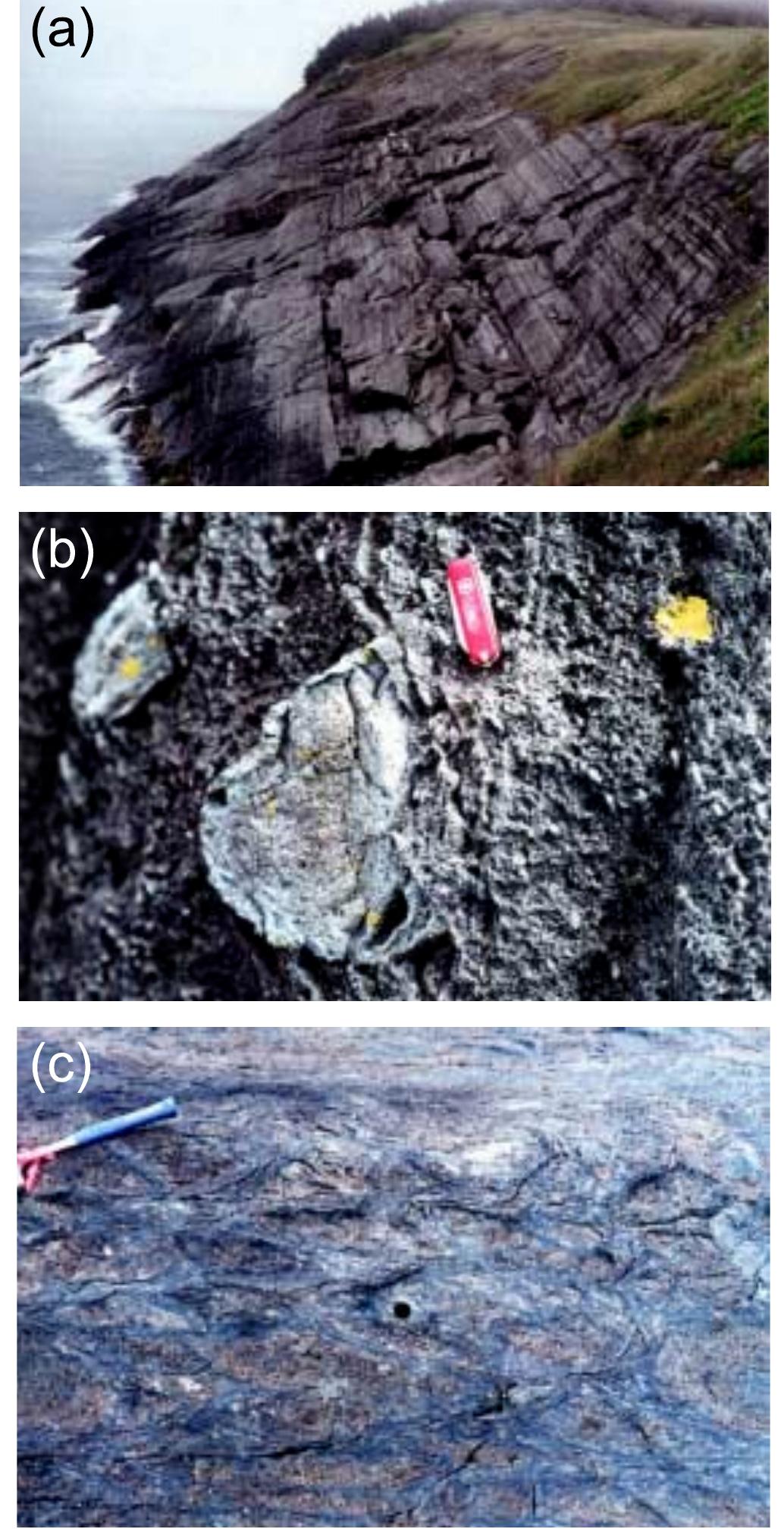 Photographs of (a) laminated mafic tuff of unit 4 at cape