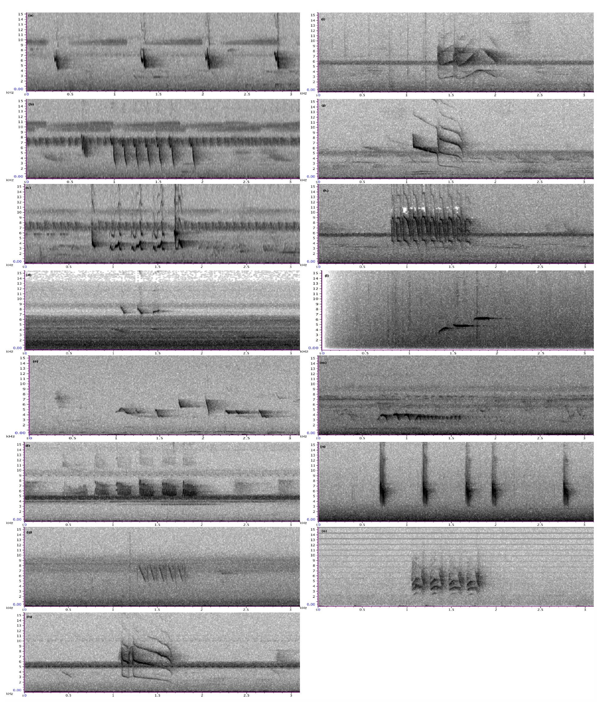 (a-o). sonograms of typical examples of the 15 call types