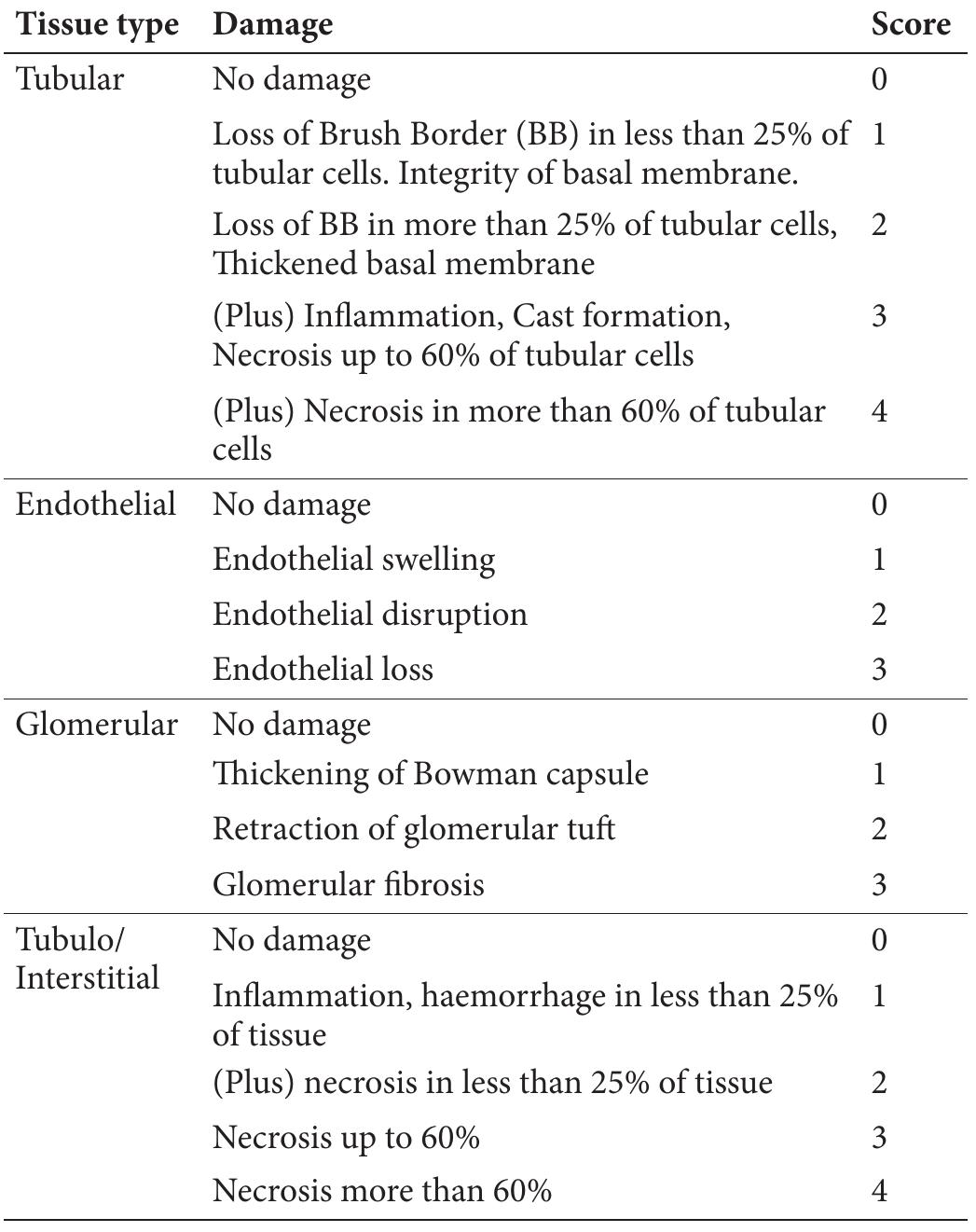 The egti histology scoring system.