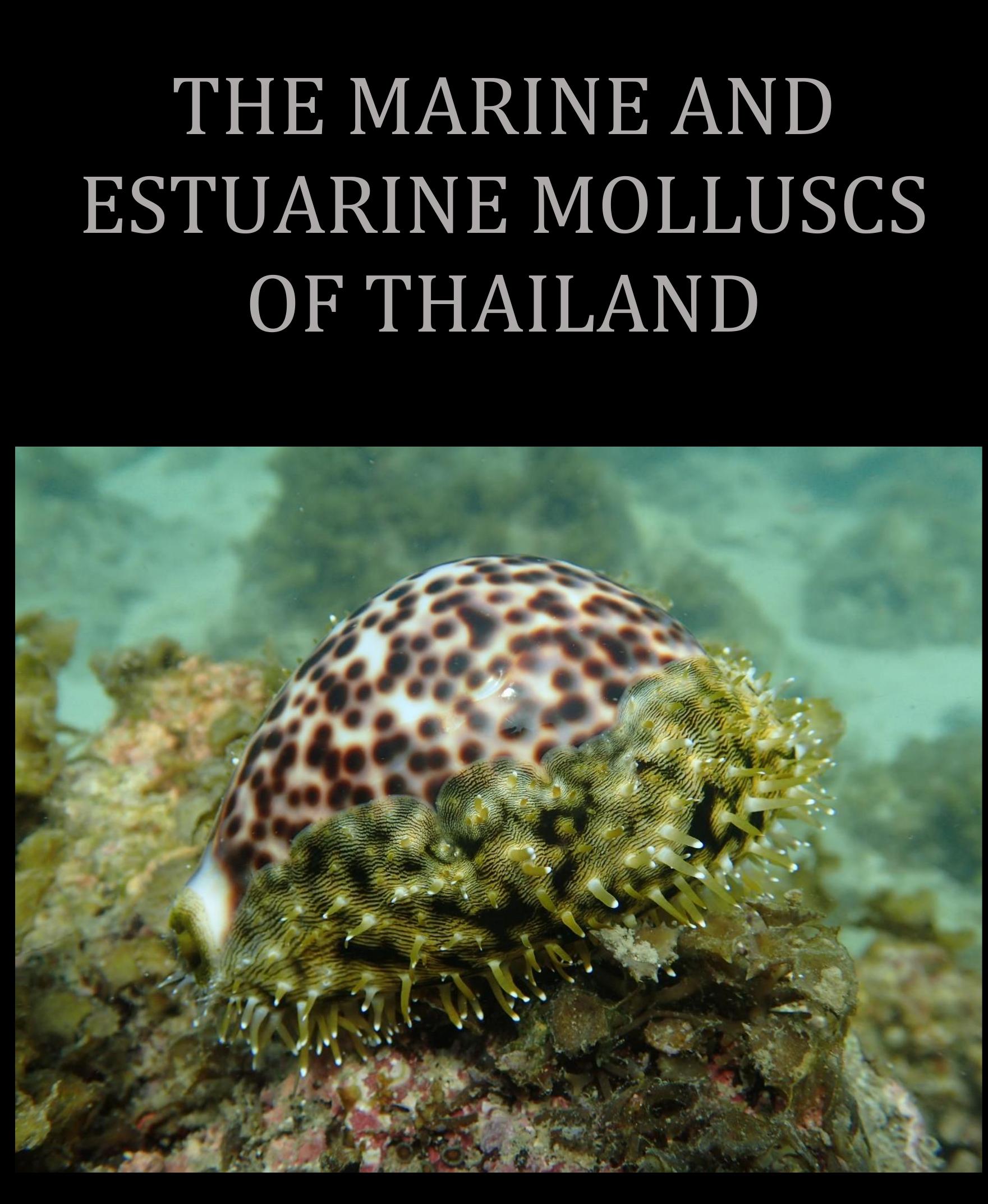 Figure 1 - THE MARINE AND ESTUARINE MOLLUSCS OF THAILAND