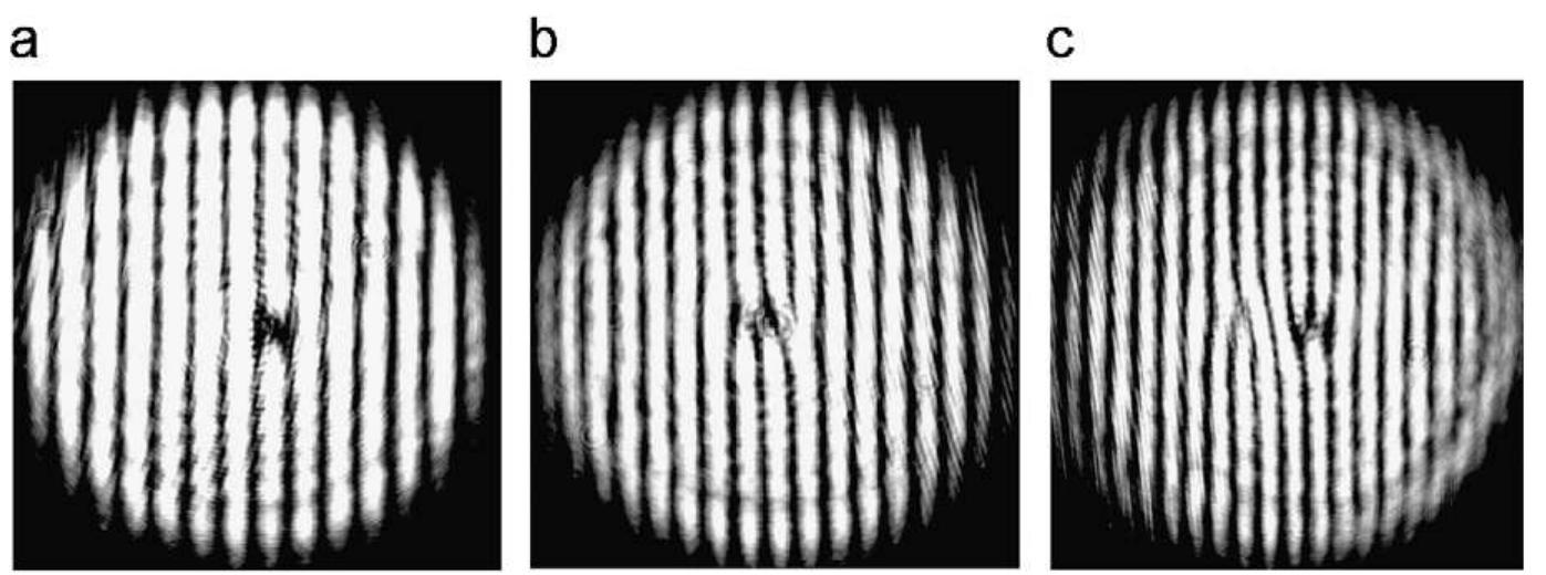 Shearograms of phase singular beam using wedge plate lsi,