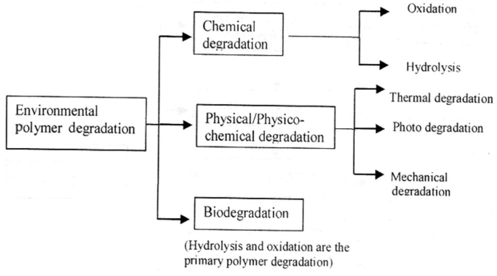 —overview of degradation of polymers (adapted from vasile).