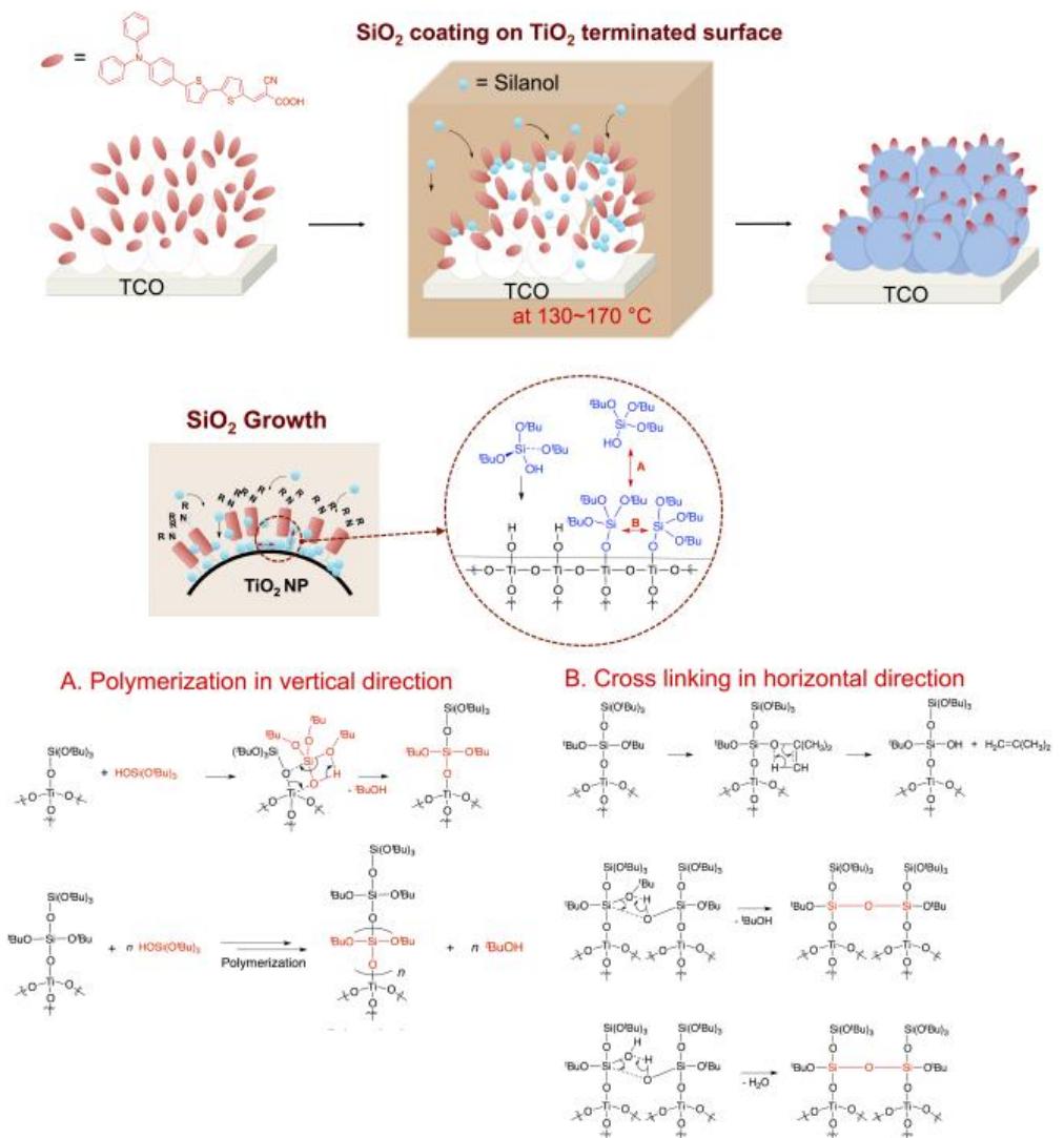 Schematic diagram depicting post-dye sio, deposition process