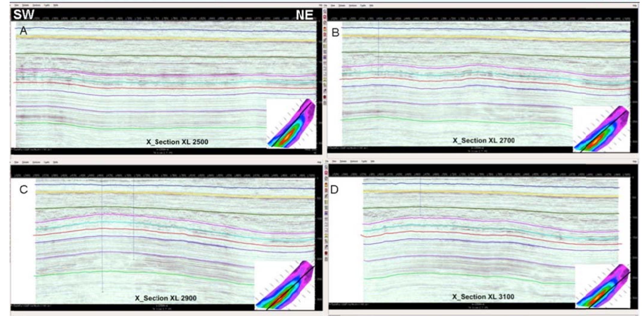 A composite picture for four seismic cross-sections taken