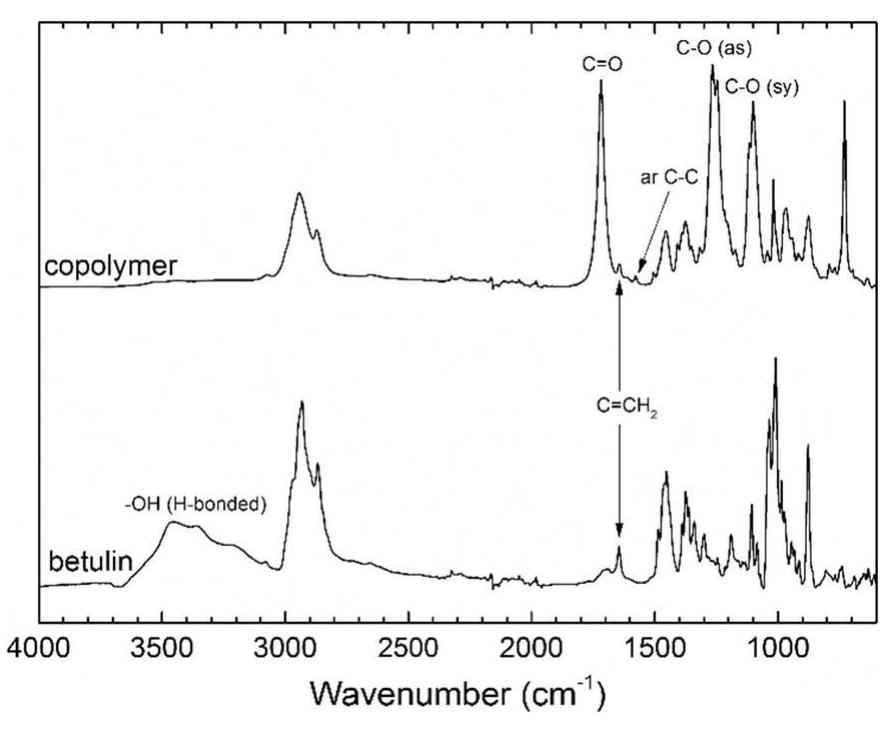 Ftir spectra of betulin and betulin-tpc copolymer betulin,