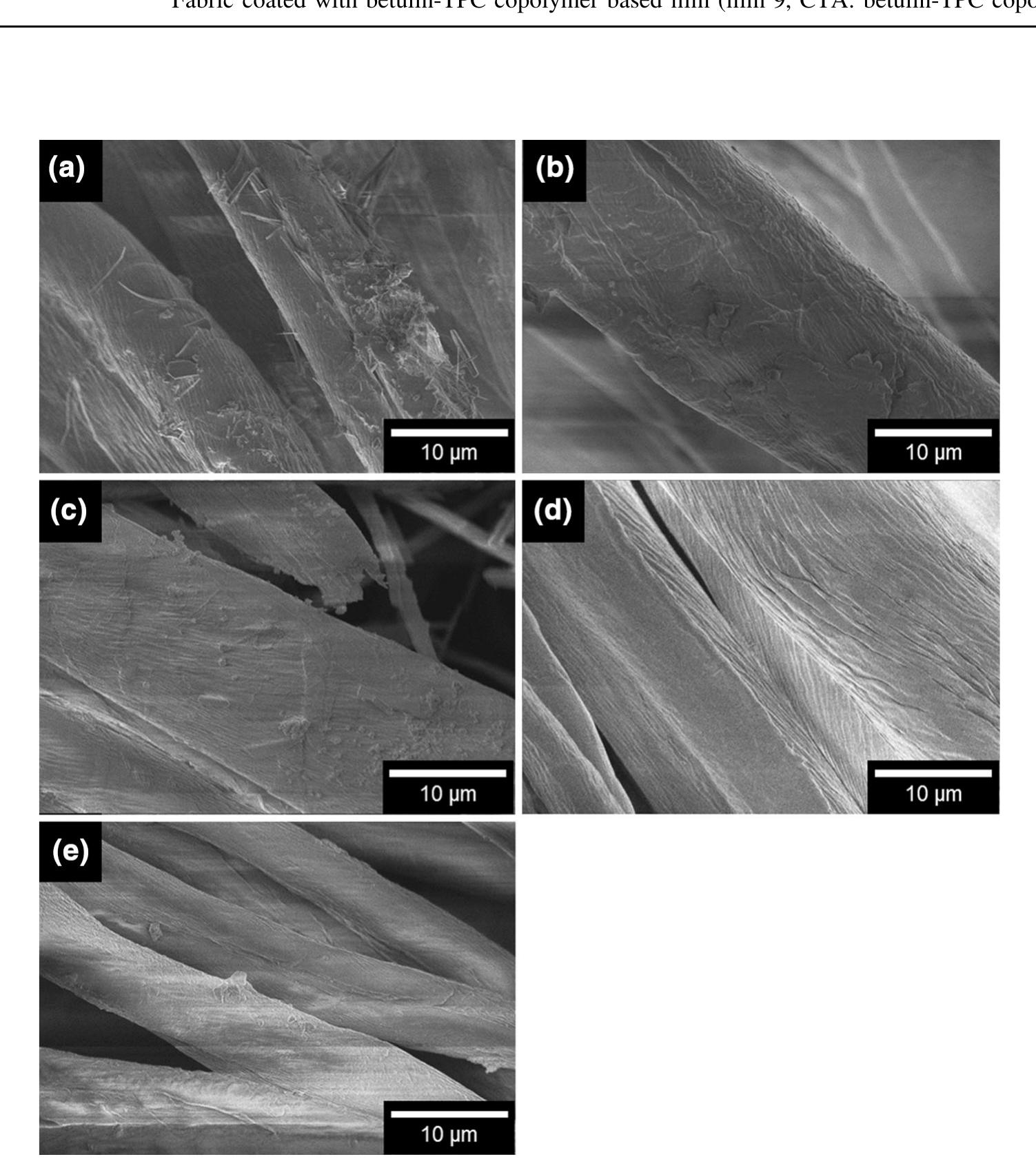 Sem images of the fiber morphology of materials, a al, c a2,
