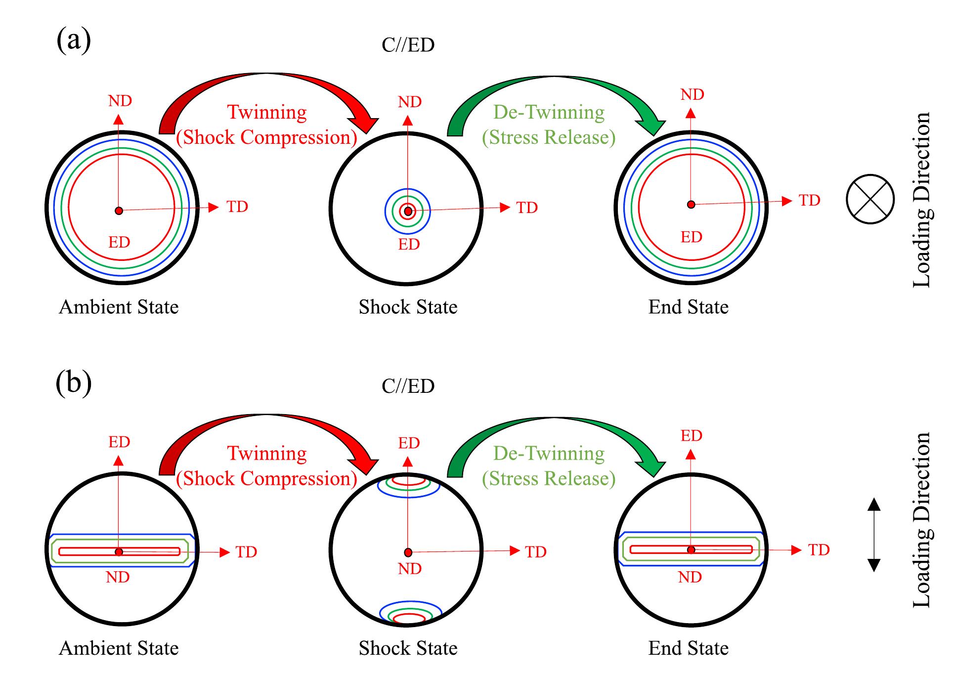 Illustrations of texture evolution of the basal (0002) poles