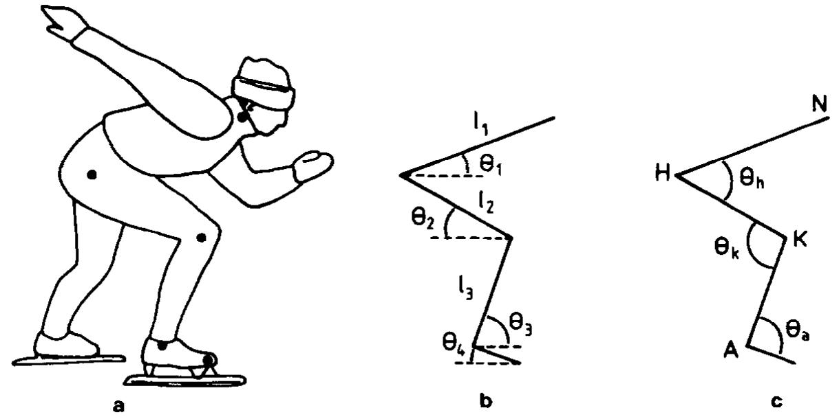 Figure 1 - from Coordination of leg muscles during speed