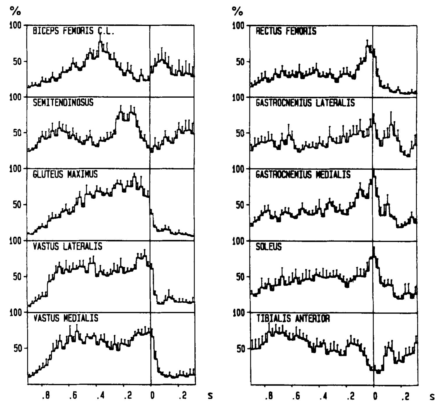Figure 6 - from Coordination of leg muscles during speed