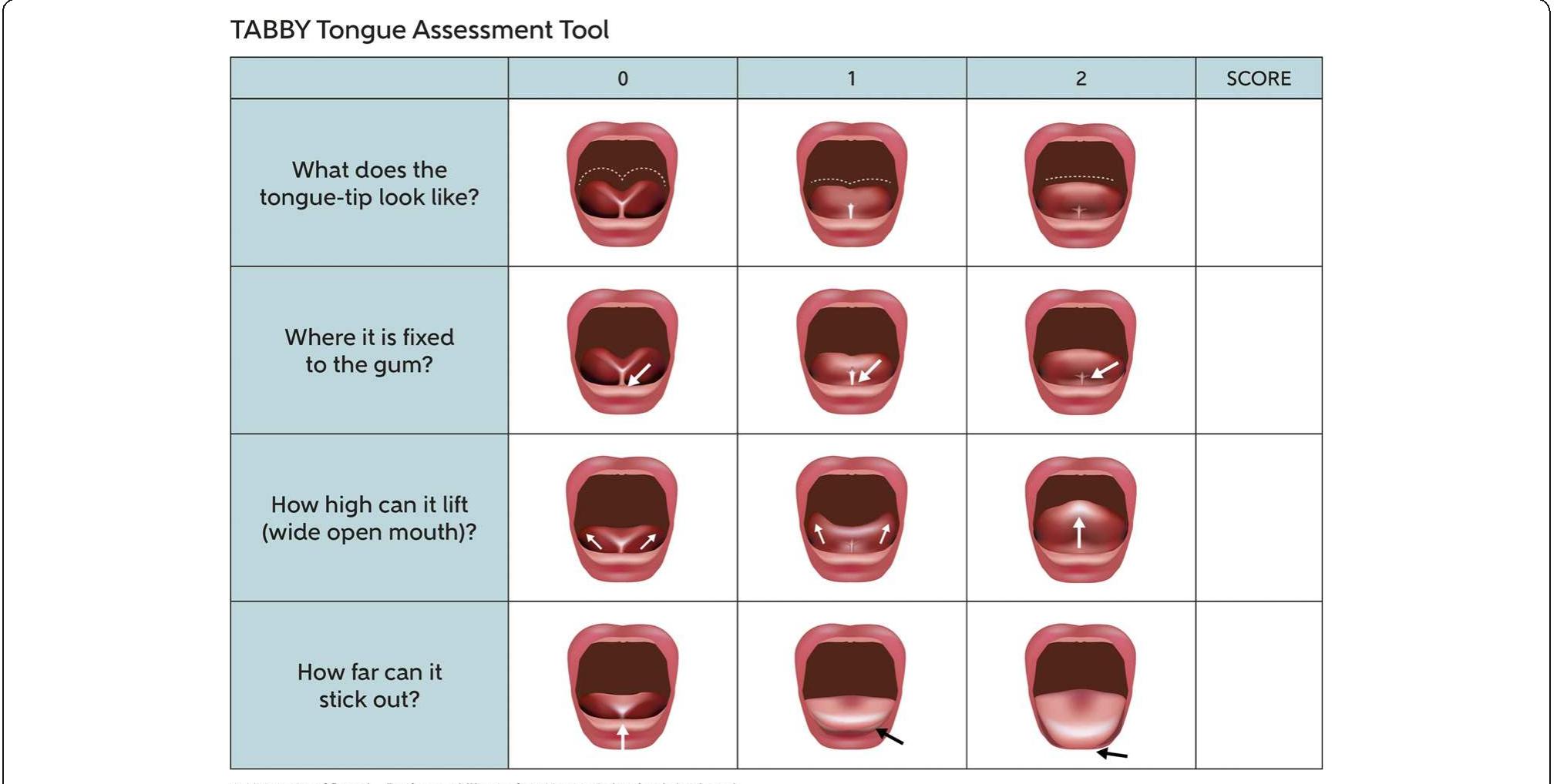 Tabby assessment tool