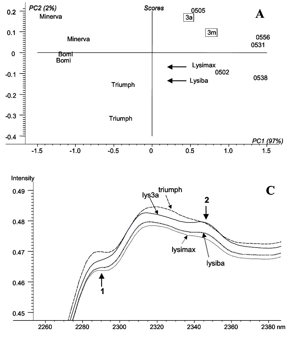Figure 2 - Principal Component Analysis of Near-Infrared and