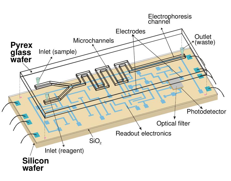 The lab-on-a-chip is shown in fig. 3. ig. 3: lab-on-a-chip.