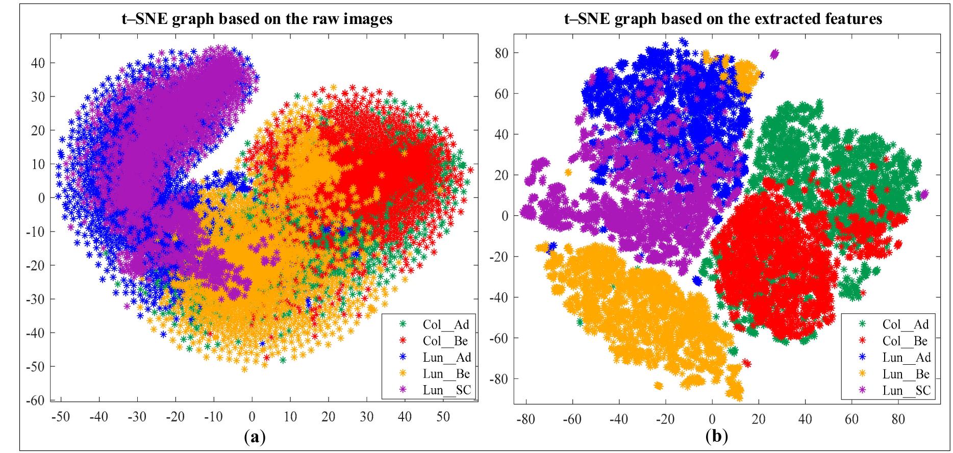 T-sne graph of the dataset based on (a) the raw features and