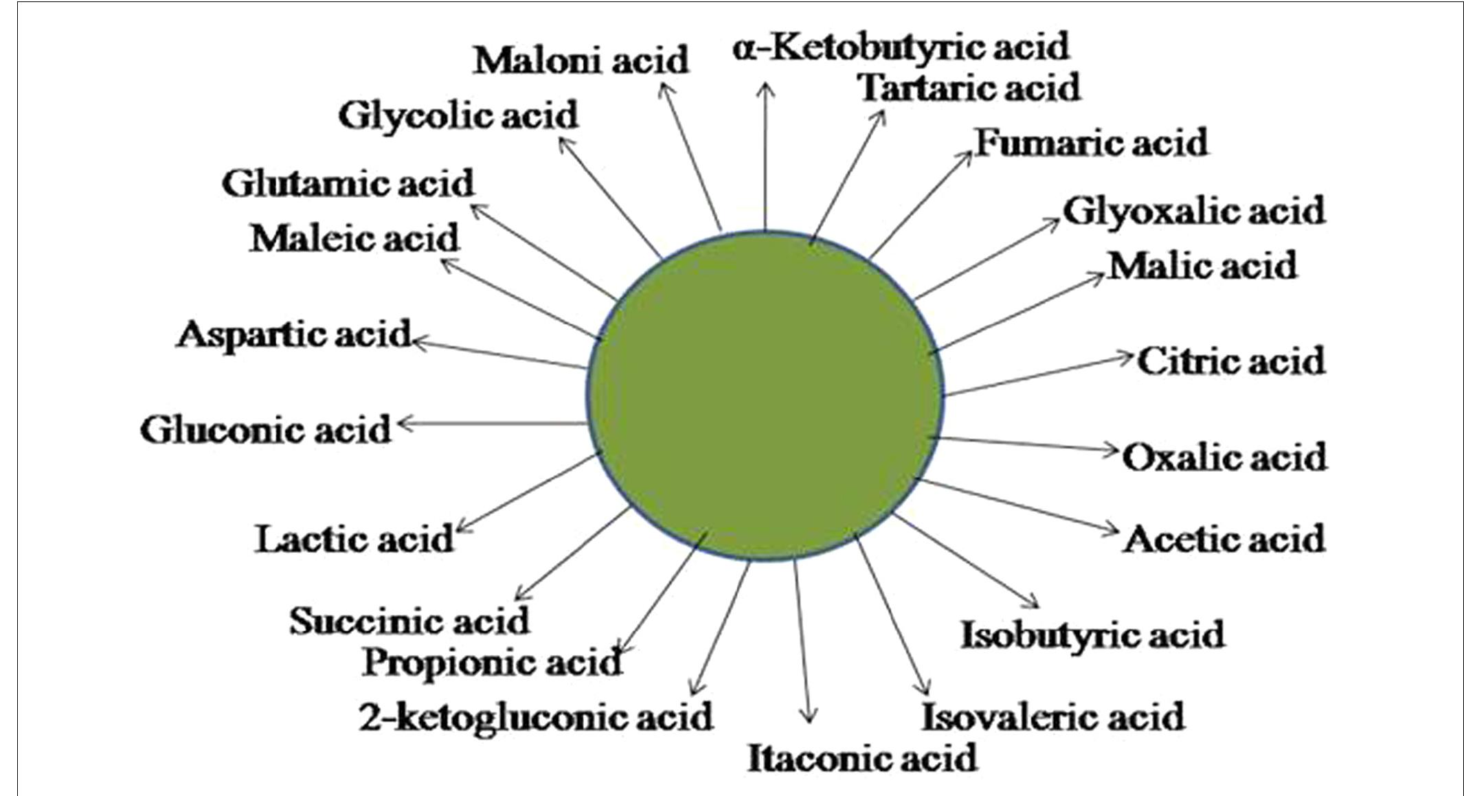 | schematic representation of the organic acids that may be