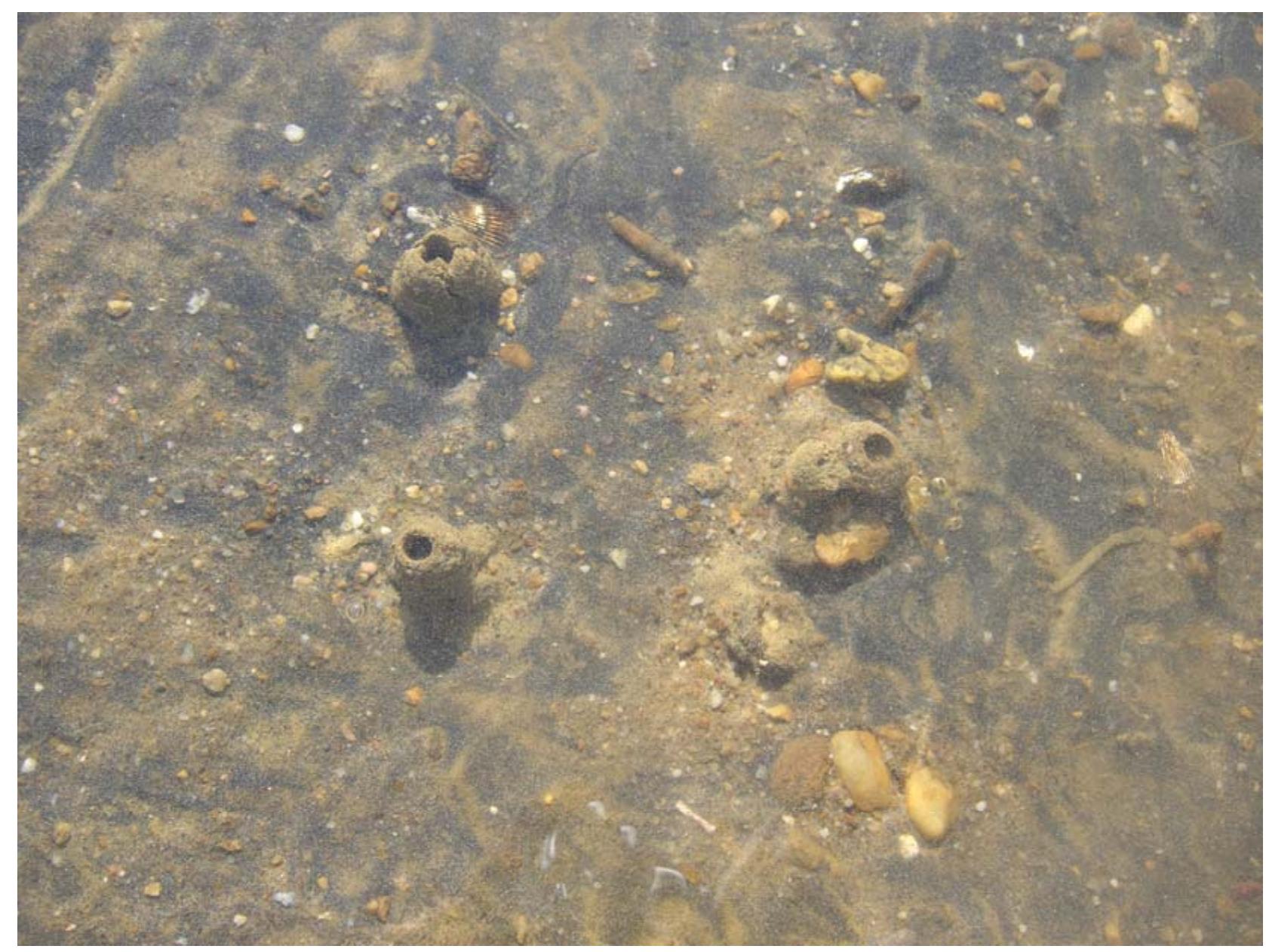 Figure 18 - A PREHISTORIC ARCHAEOLOGICAL ASSESSMENT OF THE