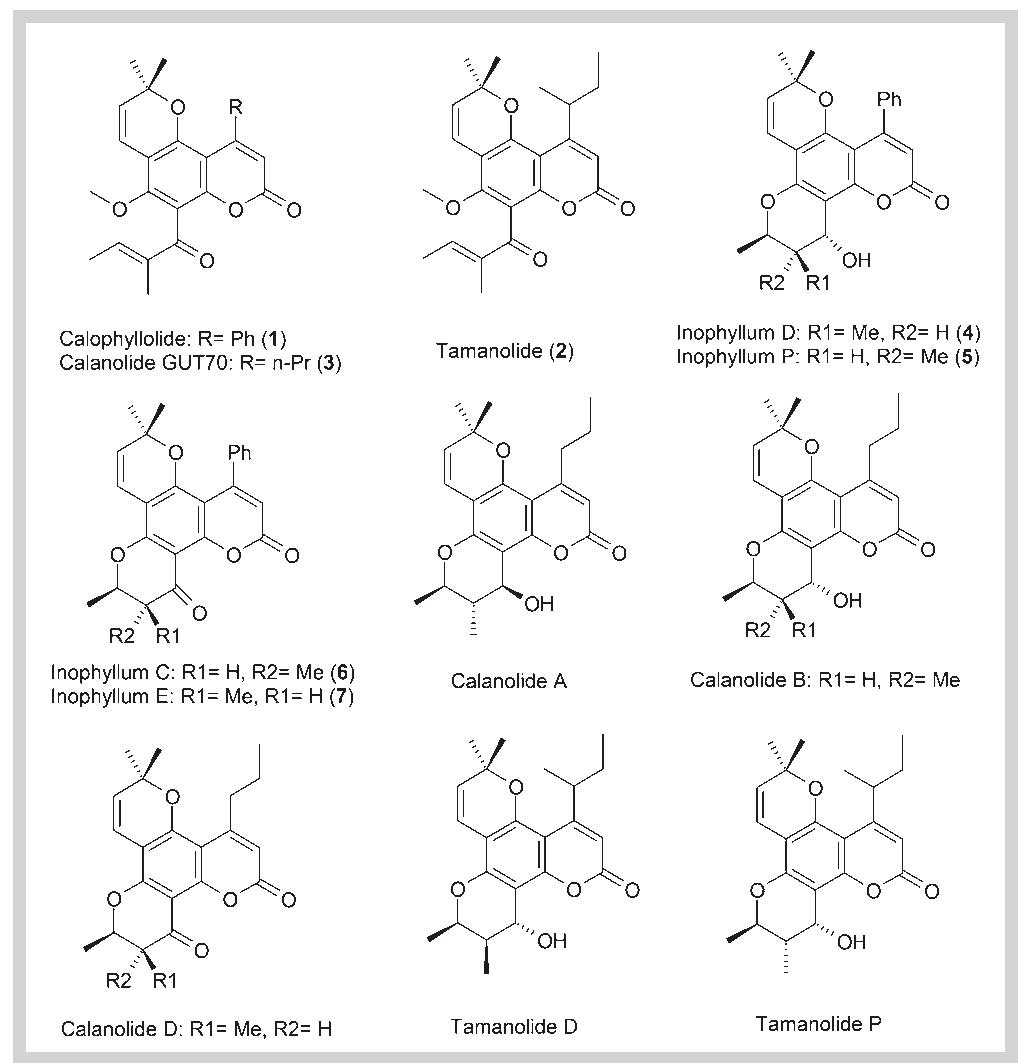 Structures of neoflavonoid constituents of the resinous part