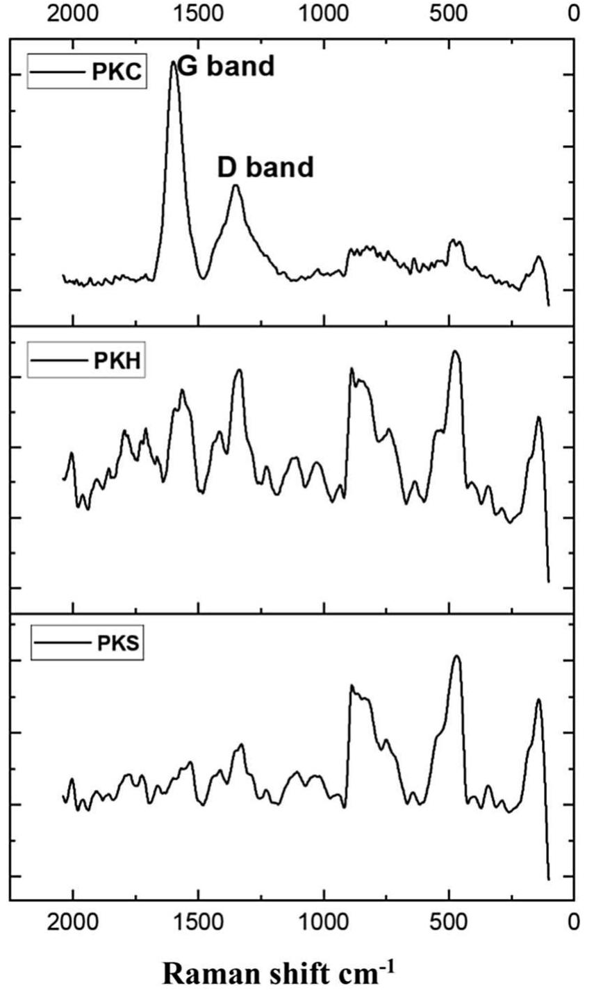 Time-gated raman spectra of dried palm kernel shells (pks)
