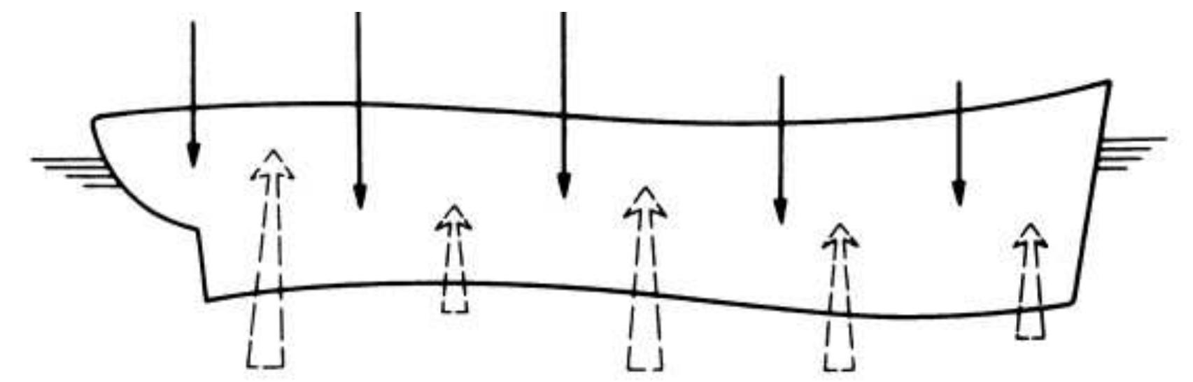 Action of gravity and buoyant loadings on a hull structure