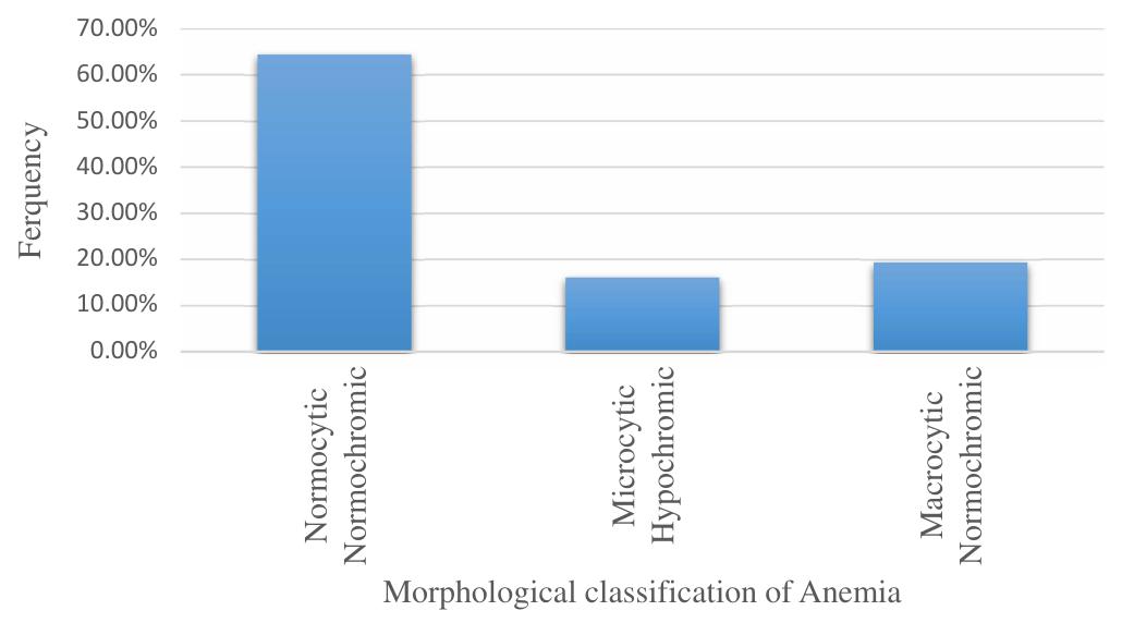 | morphological classification of anemia among human immune