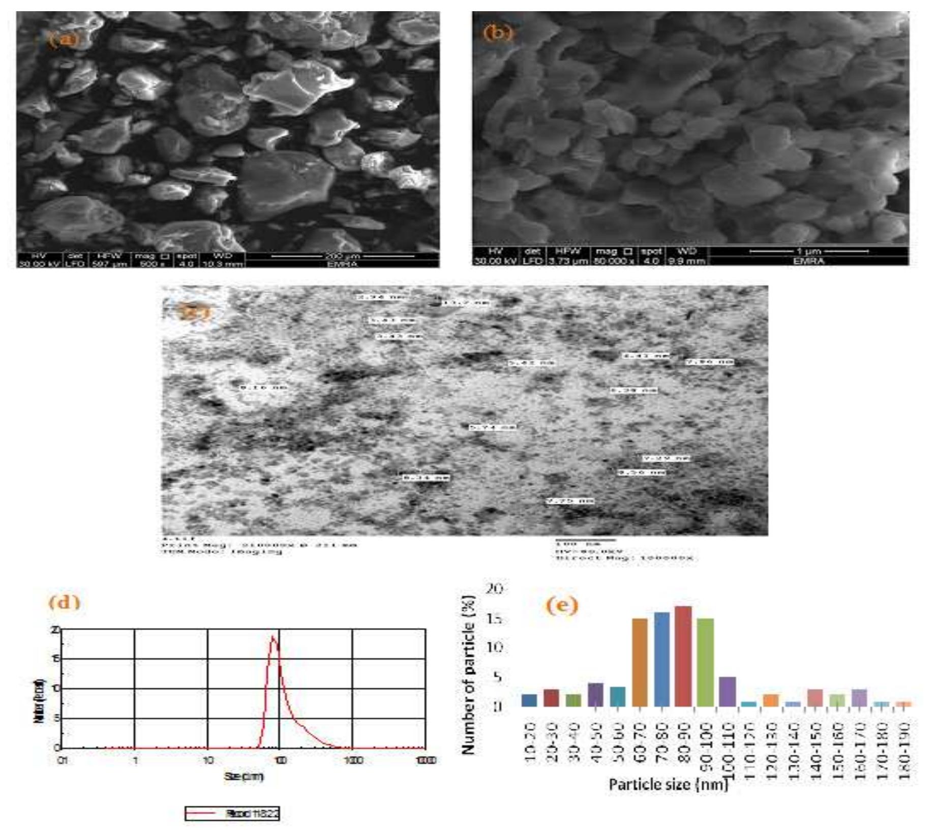Ig.2. (a). sem morphology of native chitosan, (b) sem