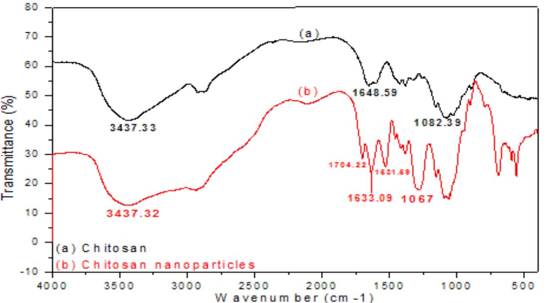 Ftir spectra of (a) native chitosan and (b) chitosan