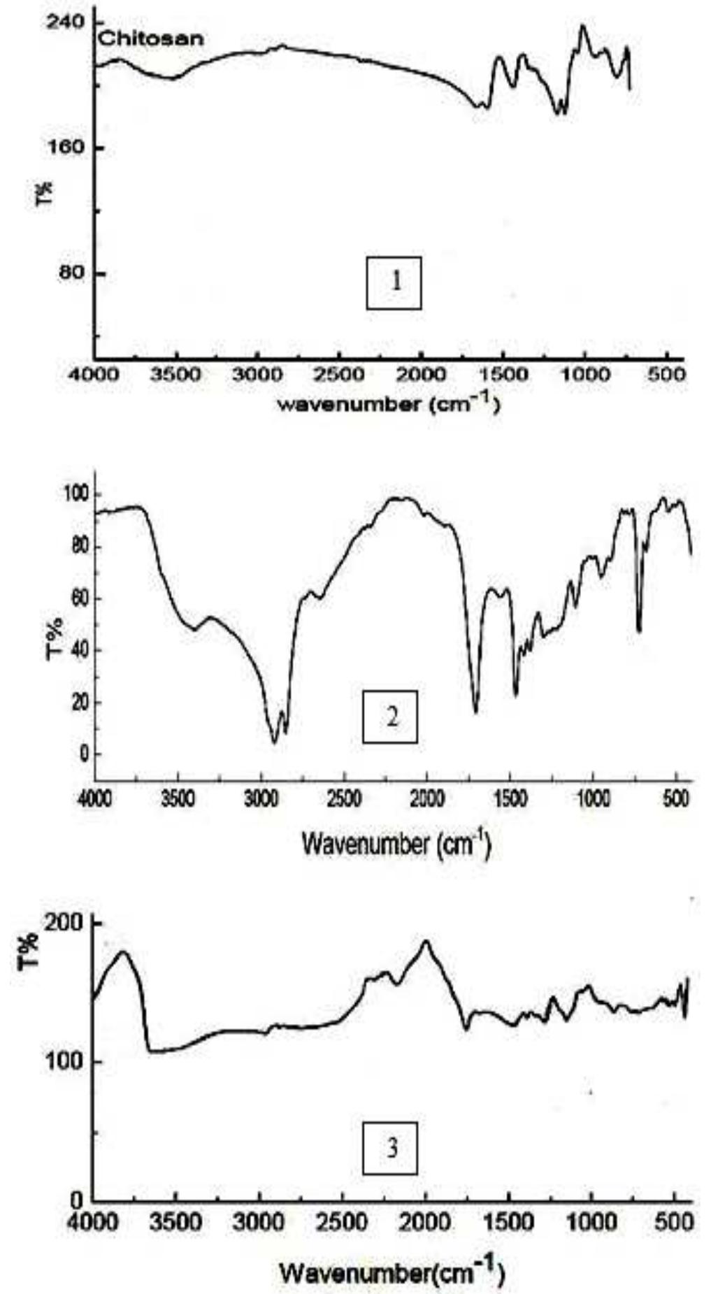 (1) ftir spectrum of chitosan. (2) ftir spectrum of curcumin