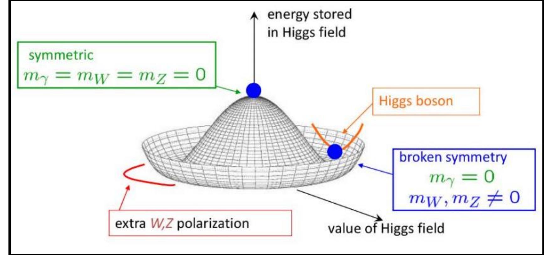 the symmetry breaking mechanism of the higgs field for the