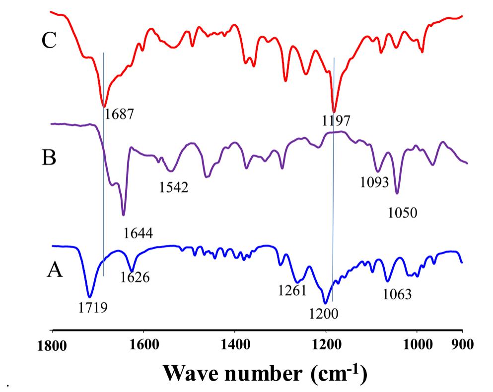 Ft-ir spectra of (a) tpmd, (b) product (p-12) of reaction