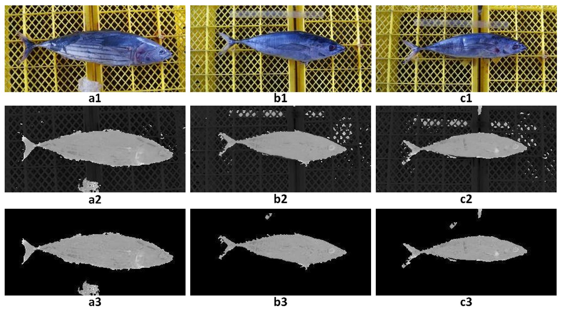 Hsi transformation and noise removing determination optimum