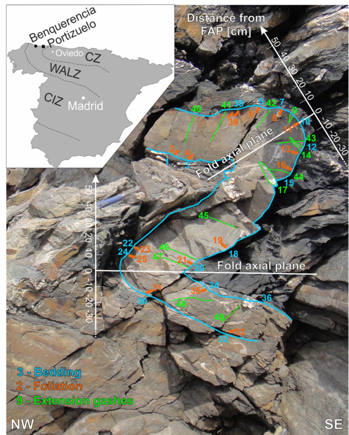 Outcrop picture of a se-verging synform/antiform fold train