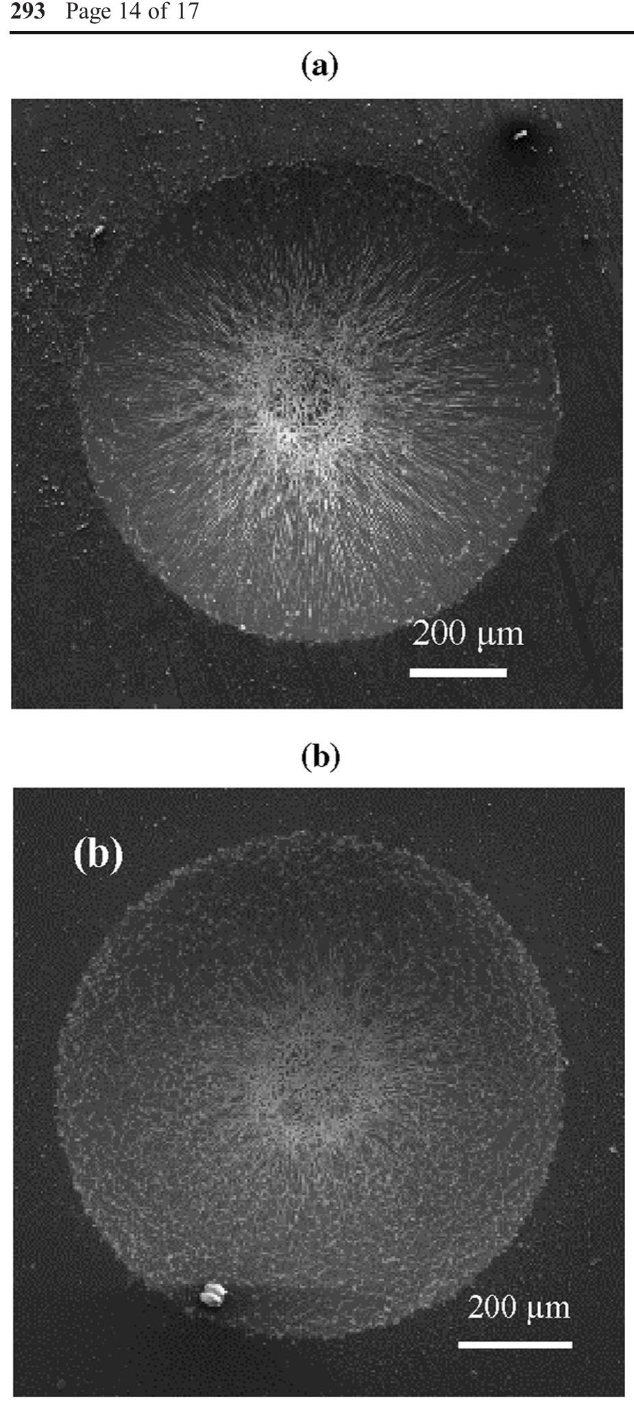 Sem-feg micrographs of the rockwell c indentation for dlc