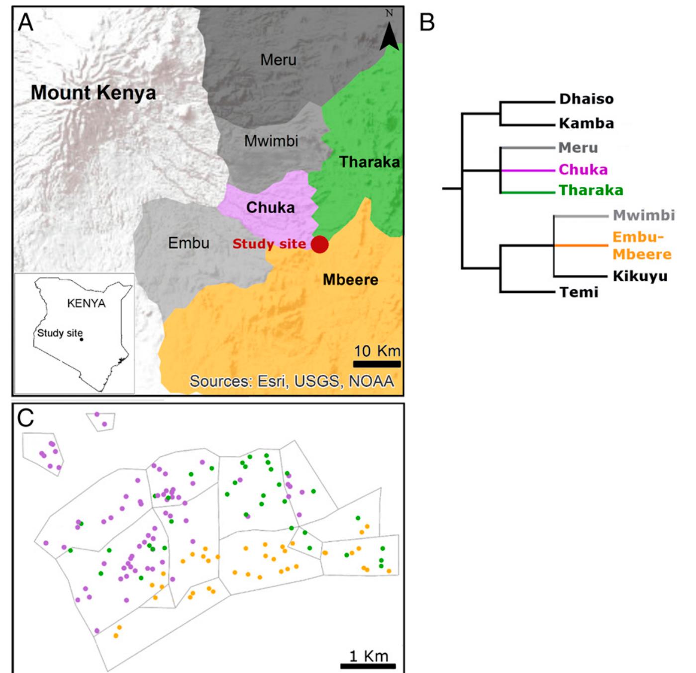 Location of the study site. (a) map of the mount kenya