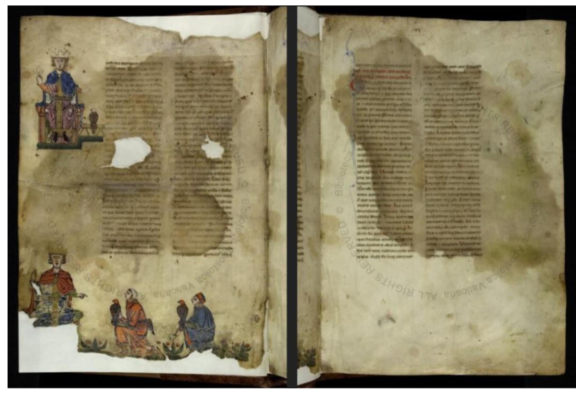 De arte venandi cum avibus. vatican library in the