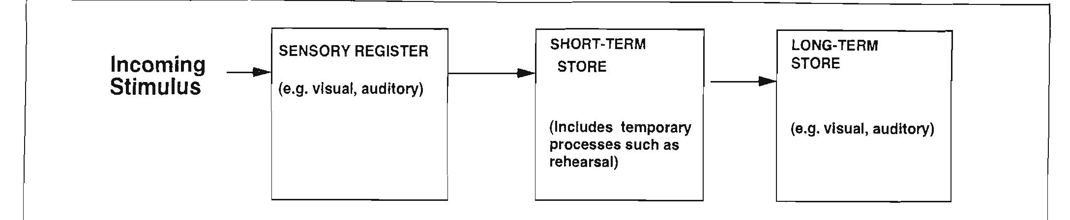 Schematic representation of the modal model of memory.
