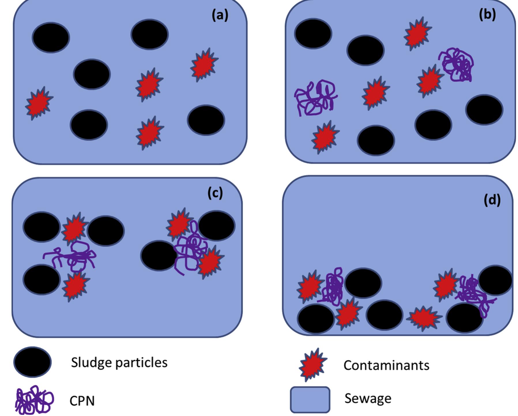 Step-by-step mechanism of cpn for sedimentation of colloidal